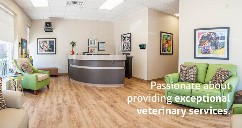 Healing Paws Veterinary Hospital - Hillsborough, NC Veterinarians